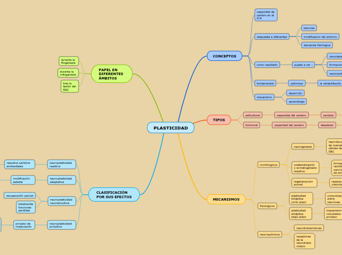 PLASTICIDAD - Mind Map